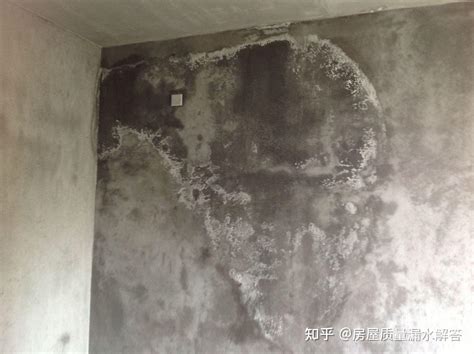 家里墙面的出现漏水问题怎么解决？ 知乎