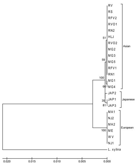 Phylogenetic Tree Constructed By Upgma Method Based On The Entire Coi
