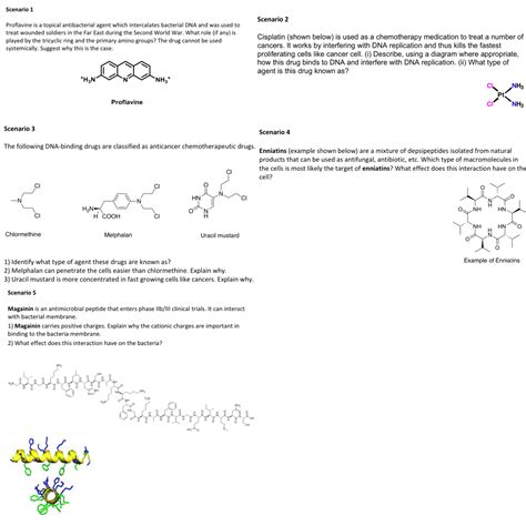 Solved Please I Need The Answers With Explanations Scenario 1