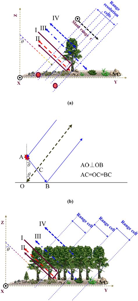 Sparse Vegetation Height Estimation Based On Non‐local Sample Selection