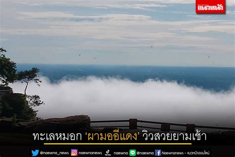 ข่าว Like สาระ ทะเลหมอกจุดชมวิวผามออีแดงอุทยานฯเขาพระวิหาร อากาศ
