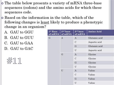 Biology Dna Mcas Questions Ppt Download