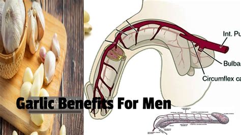 Improve Your Sex Drive Garlic Benefits For Men Health Benefits Of Garlic Youtube