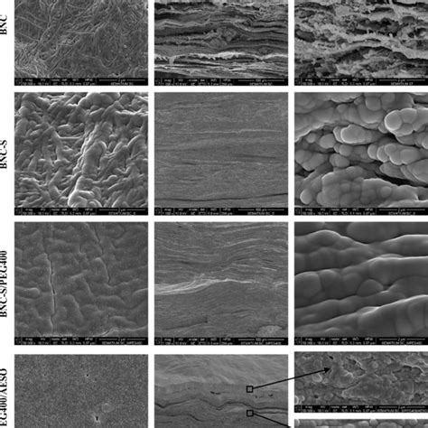 Atr Ftir Spectra Of Bnc And Bnc Composites Download Scientific Diagram