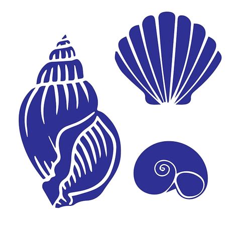Premium Vector Seashell
