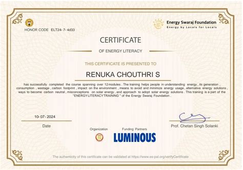 Energyswarajfoundation Energyliteracytraining Renuka Chouthri