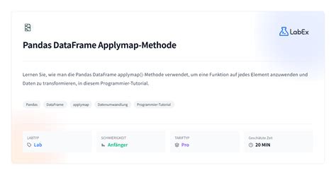 Pandas Dataframe Applymap Methode Datenumwandlung Labex