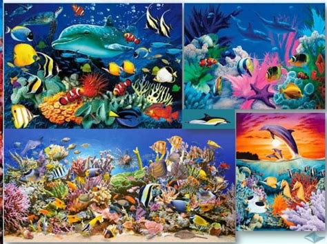 Животните във водата ЧП 3 клас Булвест Pptx