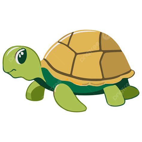 Vector Illustration Of Turtle Life Cycle Stock Vector Art