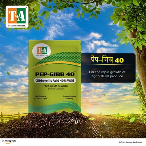 Pep Gibb 40 25 Gm Gibberellic Acid 40 Wsg