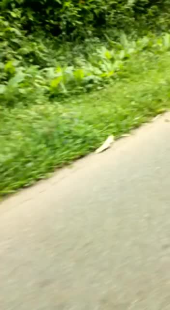 Close Enough Scrolller