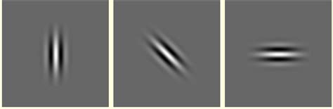 Gabor小波滤波器的在纹理提取、图像匹配上的作用gabor滤波的作用 Csdn博客