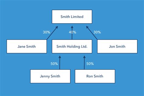 Diagram Of Companys Ultimate Beneficial Owners Ubo And Shareholder