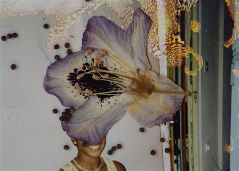 Stephen Gill Stephen Gill Experimental Photography Art Stephen Gill Stephen Gill Experimental Photography Art