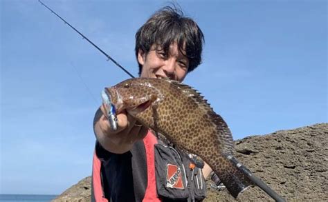 沖磯ロックゲームでオオモンハタにアカハタ手中 ワームとジグにヒット Tsurinews