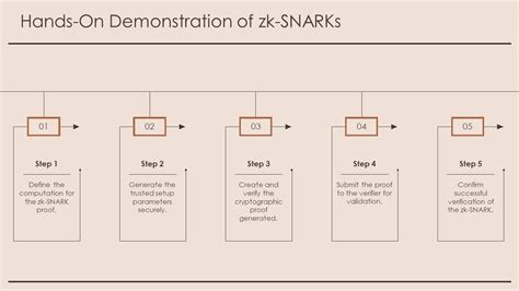 Zk Snarks Infographics Ppt Guidelines Acp Ppt Presentation
