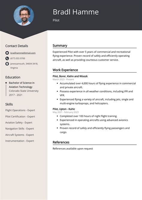 Pilot Cv Examples Template And 20 Tips