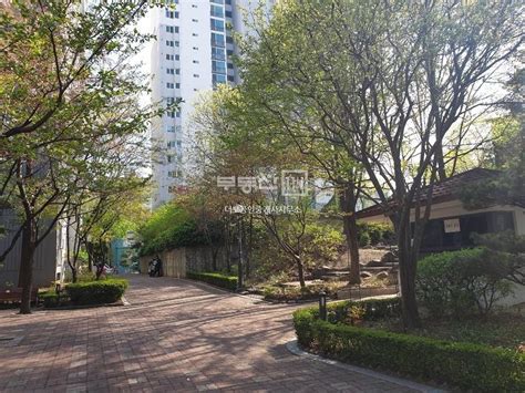 양재역아파트주변시세 강남구 도곡동 전세 경남 공급면적10633㎡전용면적8494㎡ 10억5000만원 매봉역주변아파트시세