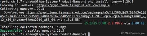 服务器Linux系统安装pytorch配置环境 linux安装pytorch CSDN博客