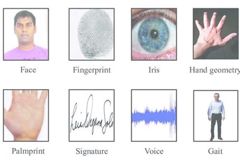 Biometric System Archives