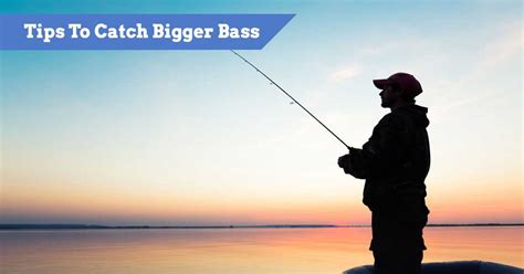 Catch Bigger Bass Our How To Tips Guide To Reeling In Larger Bass