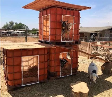 Goat Playground Goat Playground Goat House Goat Barn