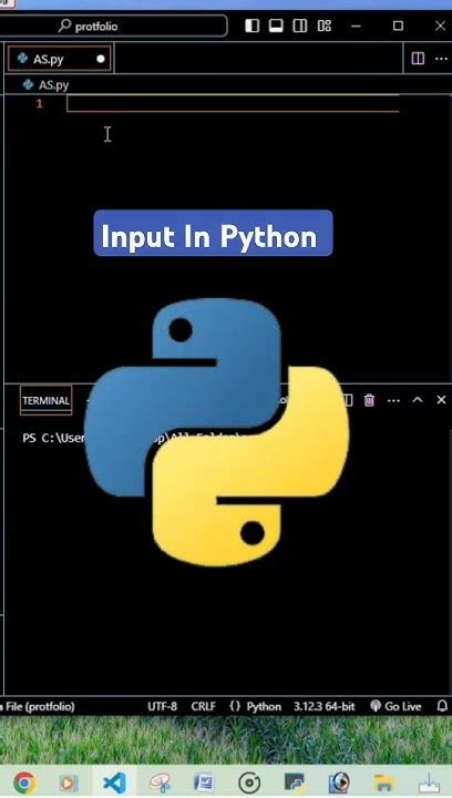 Input Given User In Python Python Pythonprogramming Shorts Youtube