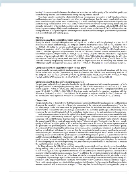 Solution Influence Of Individual Quadriceps And Hamstrings Muscle