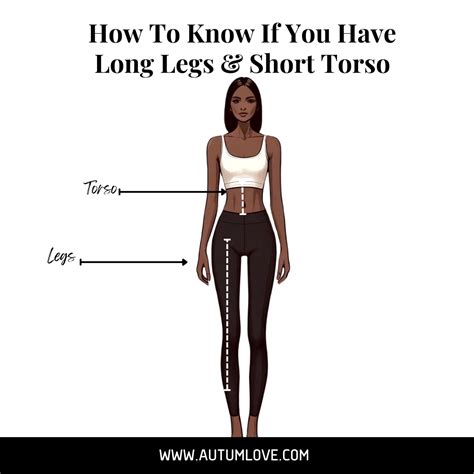 Short Torso Long Legs A Beginners Guide To Dressing Your Body Type
