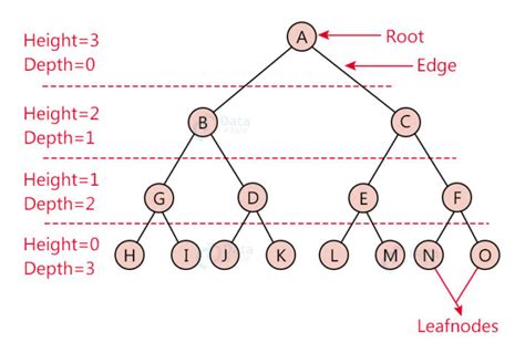 Tree Data Structure Dataflair