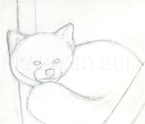 How To Draw A Red Panda Drawing Step By Step By Finalprodigy DragoArt