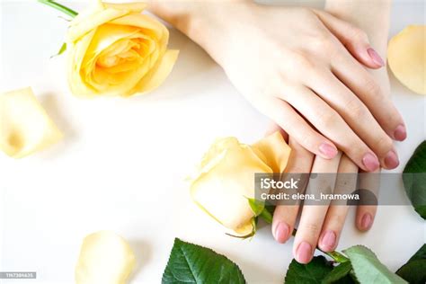 분홍색 폴란드어와 아름 답게 손질 된 여자의 손톱 절연 손톱 손질 매니큐어 페디큐어 미용실 아름 다운 장미 노란 꽃입니다 0명에 대한 스톡 사진 및 기타 이미지 Istock