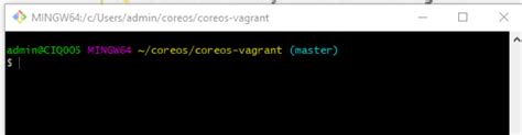 Setting Up Local Core Os Cluster Using Vagrant Cloudiq Tech