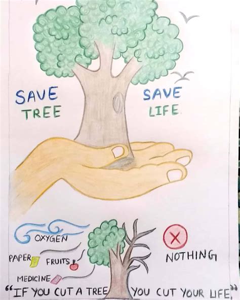 10 Save Trees Ideas Save Trees Importance Of Trees Trees To Plant