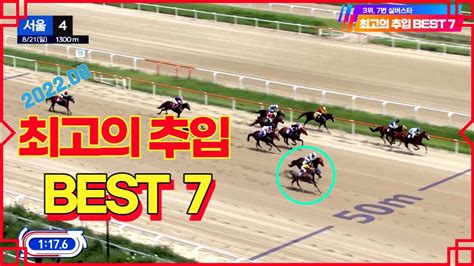 고루시 워프 못지 않은 K 경주마들의 시공간 왜곡 추입 2022년 8월 최고의 추입 Best 7 Youtube