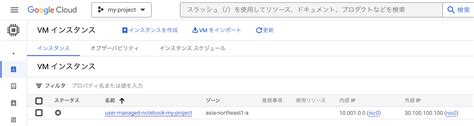 vertex ai のインスタンスに jupyter ユーザーで ssh する方法