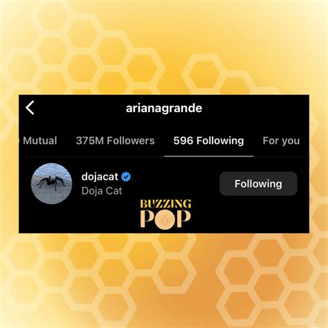 𖤐 𝗖𝗛𝗥𝗜𝗦 𝗚𝗥𝗔𝗡𝗗𝗘 𖤐 happy bday lana on Twitter RT BuzzingPop Ariana Grande has re followed