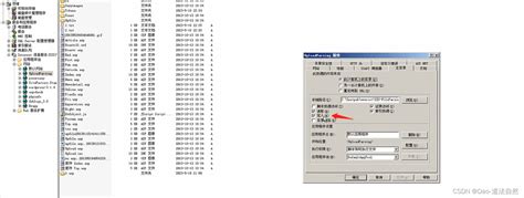 day41：web攻防 asp应用and sysand短文件and文件解析andaccess注入and数据库泄漏 sys cve 2015
