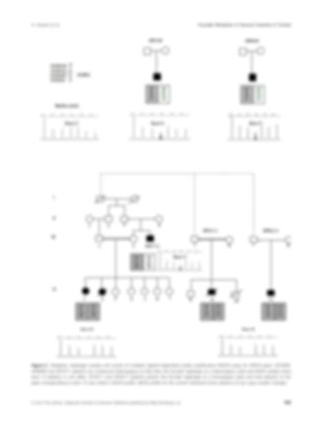Solution High Frequency Of Exon 15 Deletion In The Fanca Gene In