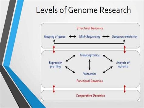 functional genomics