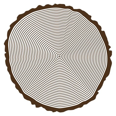 Tree Rings Vector At GetDrawings Free Download