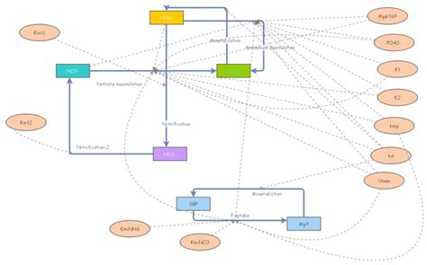 Nitrogen Cycling Insight Maker