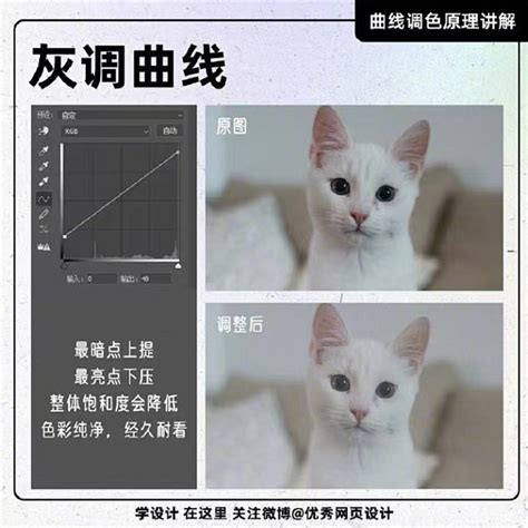 九张图带你快速搞懂曲线调色。 九张图带你快速搞懂曲线调色。