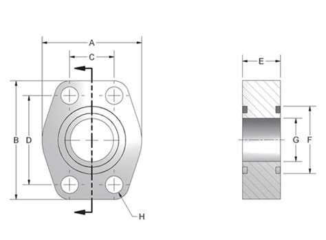 O Ring Face SAE Flange Code 61 And 62 O Ring Flanges 42 OFF