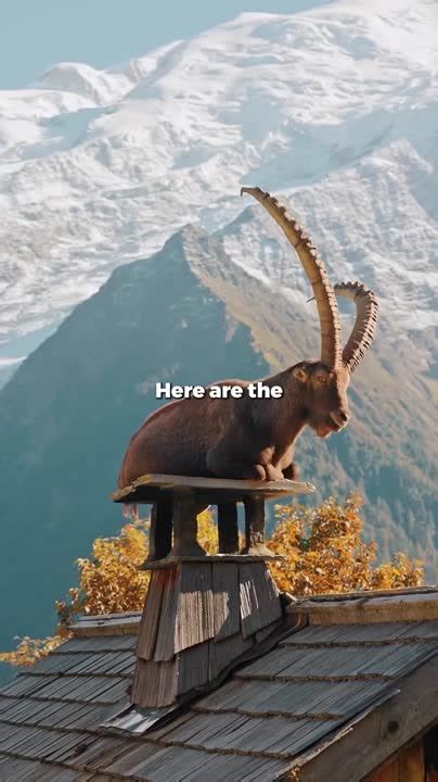 pc prajapat posted on linkedin