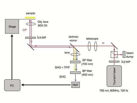 Schematic Of The Shg Microscopy Setup Download Scientific Diagram