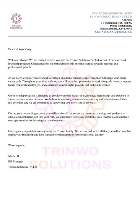 Internship Growthmindset Industryexperience Trinwosolutions Vinay