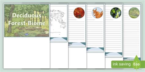 Deciduous Forest Biome Flipbook Ι World Climates Ι Twinkl