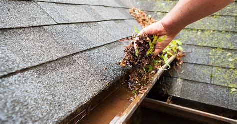 3 Ways To Maintain Your Roof In The Summer Chattanooga Roofing