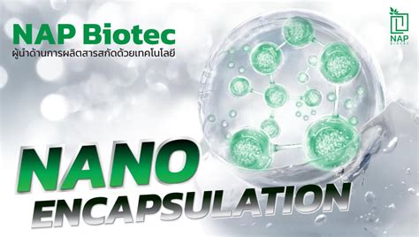 Nap Biotec ผู้นำด้านการผลิตสารสกัดด้วย Nano Encapsulation